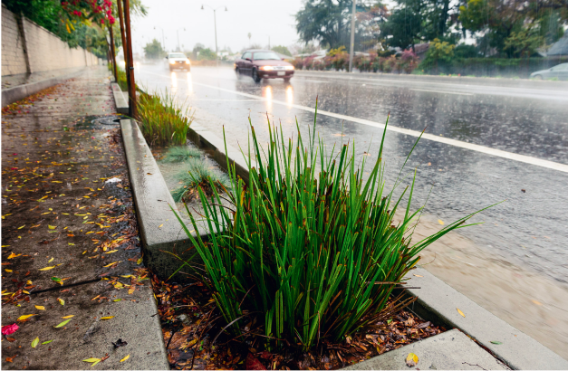 SCW Watershed Planning